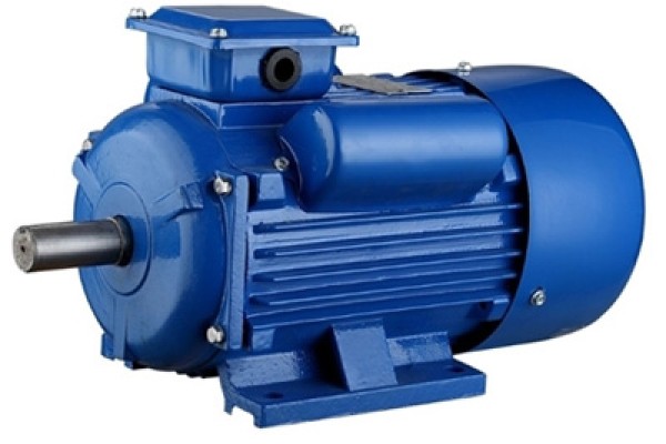 Understanding Float Switches: How They Work and Their Applications