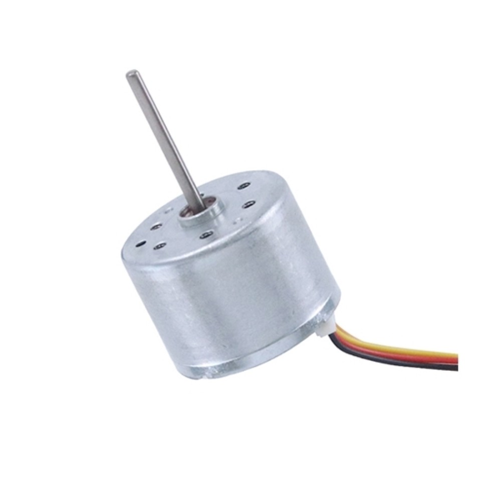 4500 rpm 12V 24V Small Brushless DC Motor