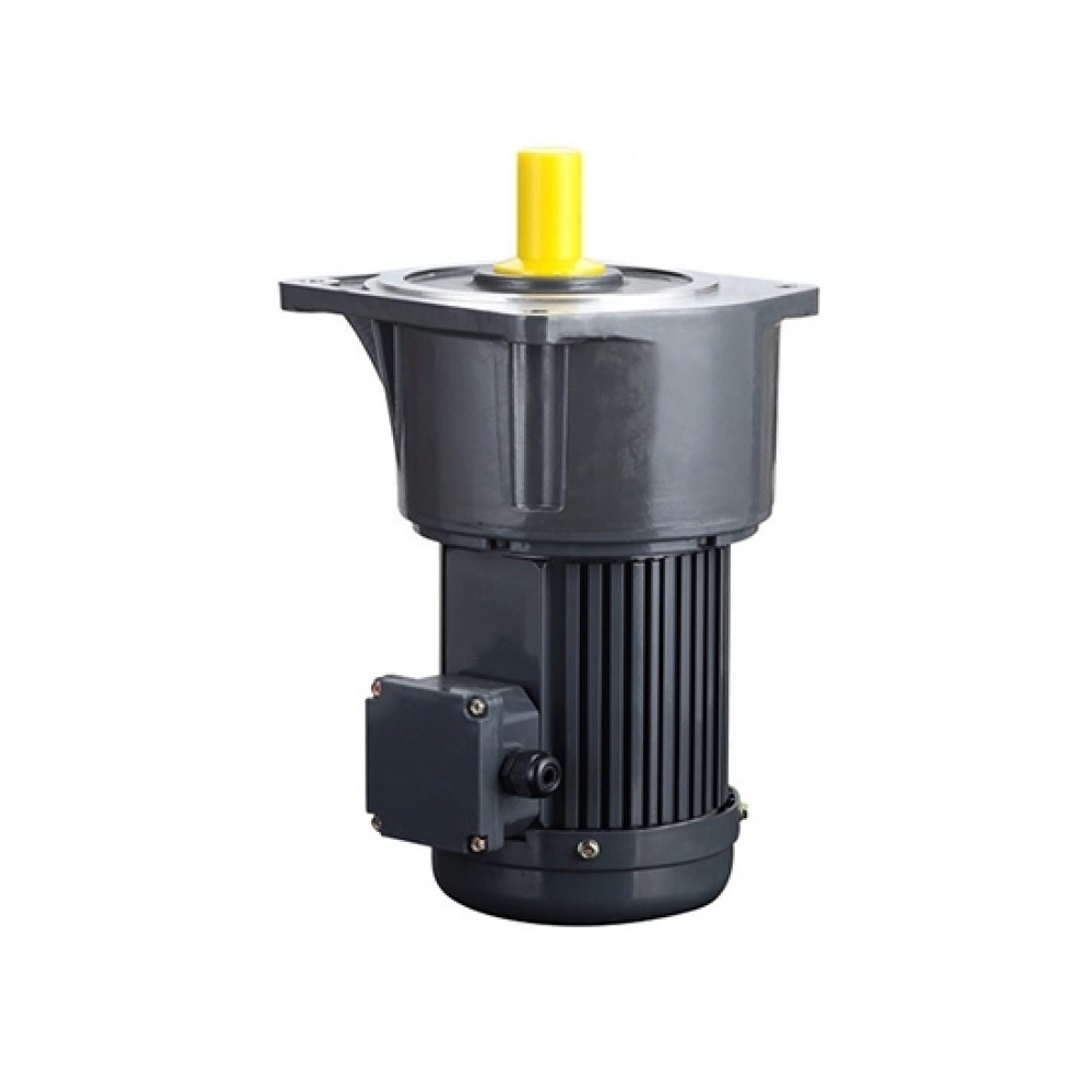 100W 3-Phase AC Gear Motor Horizontal Ratio 3~100
