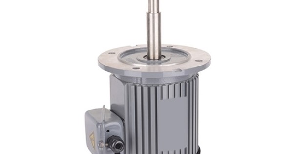 1/3 hp 160mm Long Shaft Induction Motor, 2700 rpm