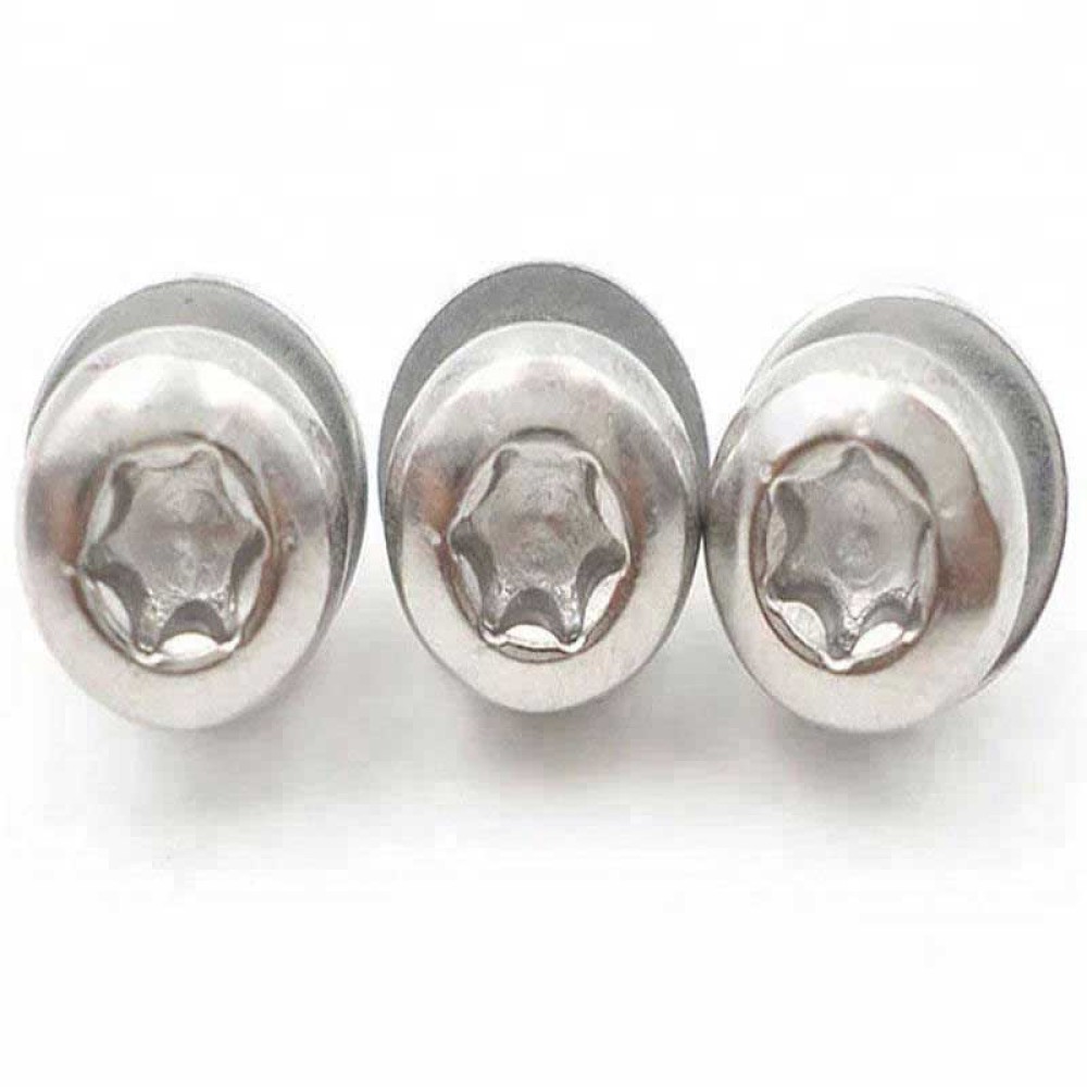 Flat Head Six-Lobe Pin Torx Security Screw - M6 / M8