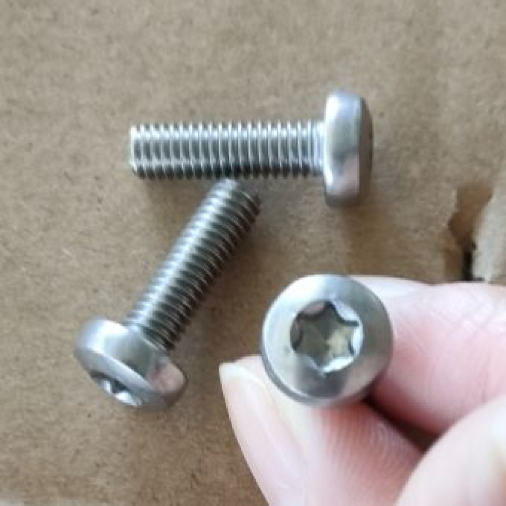 ISO 7380 Pan Head Torx Flat Head Safety Screw