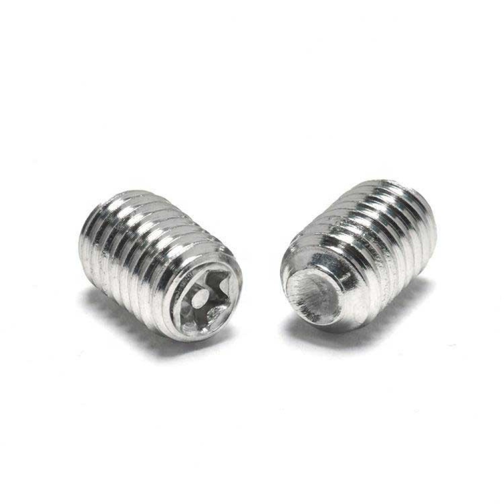 Anti Rust Stainless Steel M3 M4 M5 M6 Torx Pin Cup Point Grub Screws