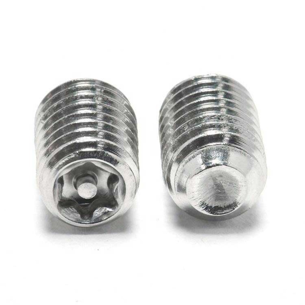 Anti Rust Stainless Steel M3 M4 M5 M6 Torx Pin Cup Point Grub Screws