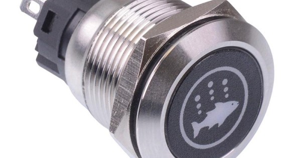 Live Fish' White LED Momentary 19mm Vandal Push Button Switch SPDT 12V