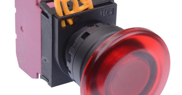 Red 24V illuminated 22mm Mushroom Momentary Push Button Switch 2NC IP65 ...