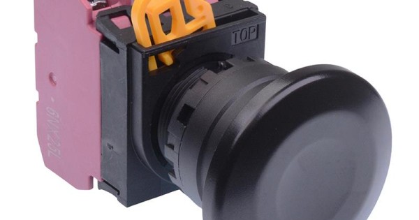 Black 22mm Mushroom Maintained Push Button Switch 2NC IP65