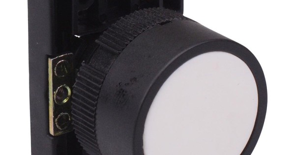 PtecPNWhite White Flush Push Button Switch